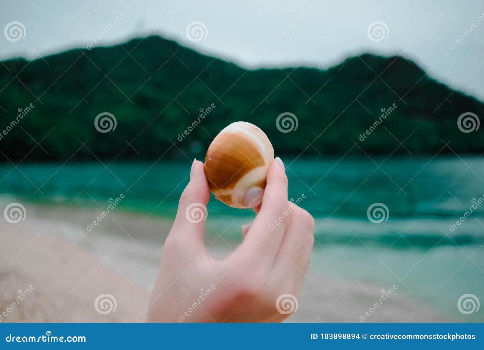 Beach, Blur, Cliff, Close-up Picture. Image: 103898894