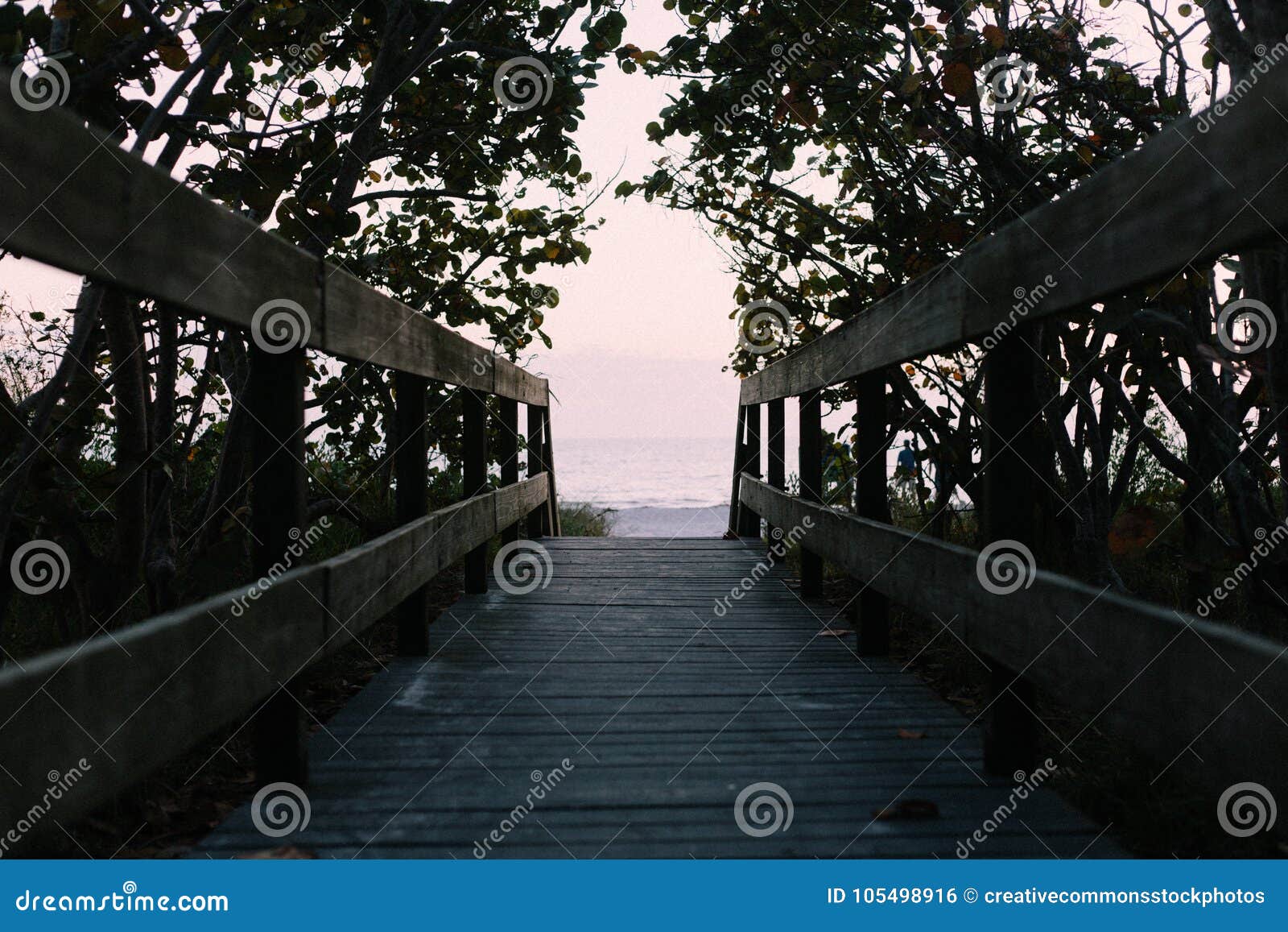 Beach, Boardwalk, Ocean Picture. Image: 105498916