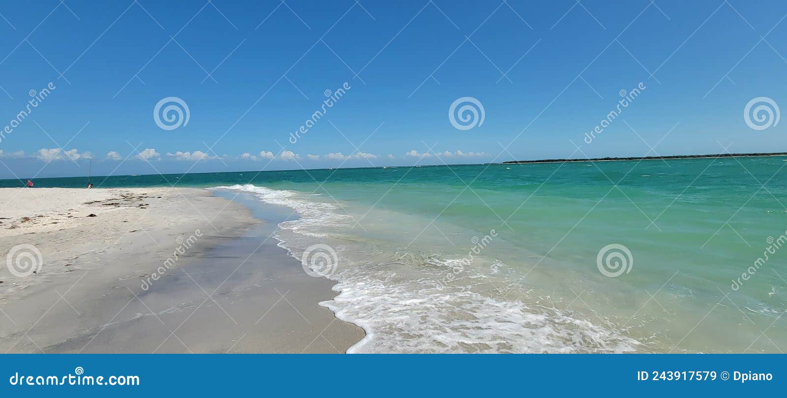 The Beach at Boca Grande Florida Stock Image - Image of leaf, grande ...