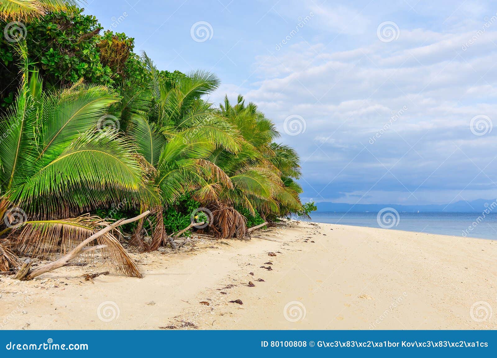On the Beach of Bounty Island in Fiji Stock Photo - Image of tropical ...