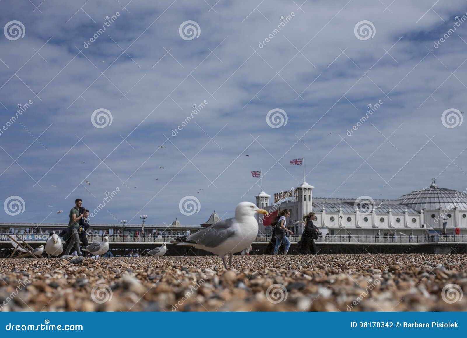 Beach in Brighton, Seagulls and the Pier. Editorial Photography - Image ...