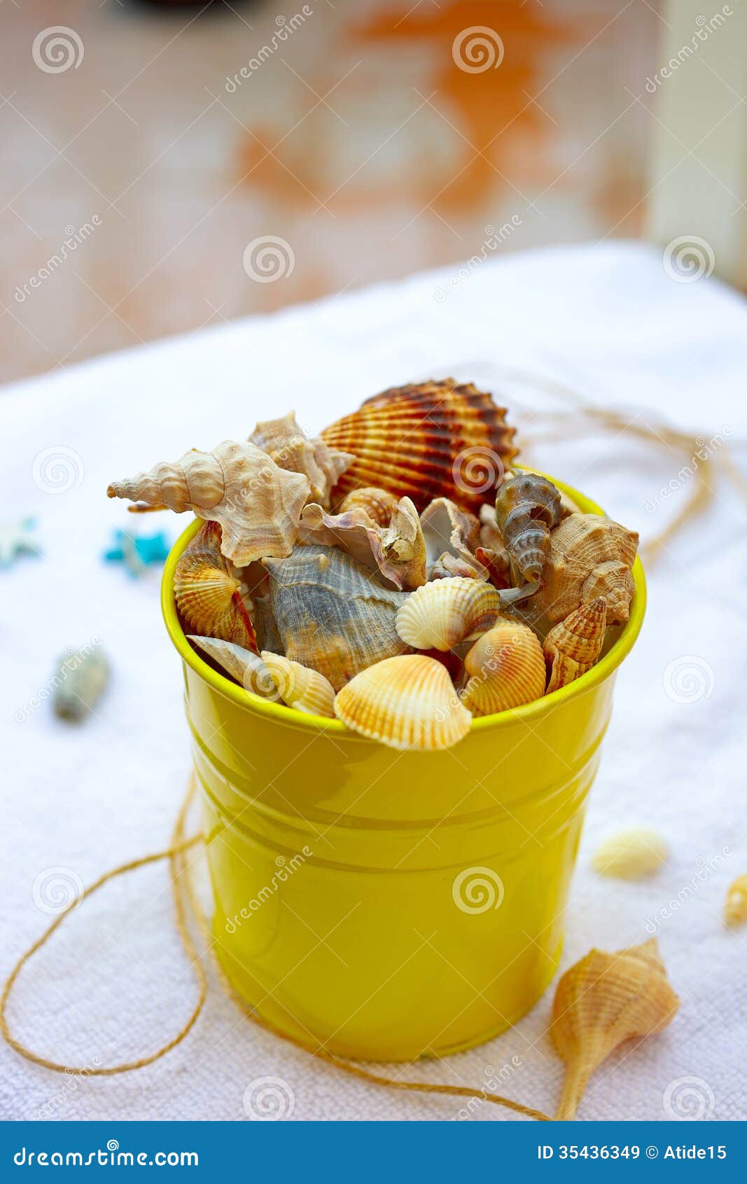 Beach Bucket with Seashells Stock Image - Image of summertime, summer ...