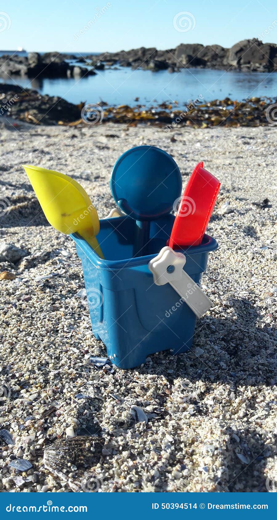 Beach bucket spades stock photo. Image of beach, kelp - 50394514