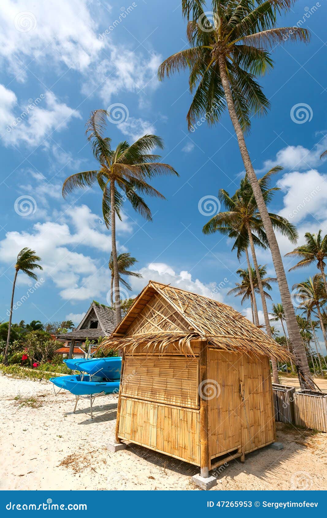 Beach, bungalow, palm tree stock image. Image of coast - 47265953