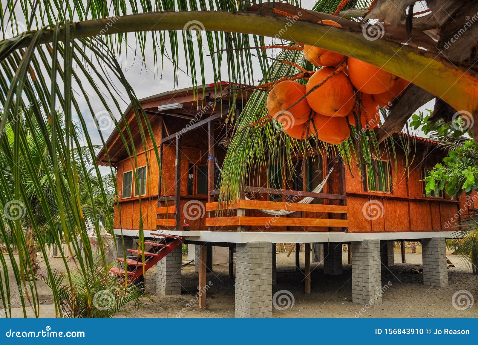 The Coconuts Tree Beach Royalty-Free Stock Photo | CartoonDealer.com ...