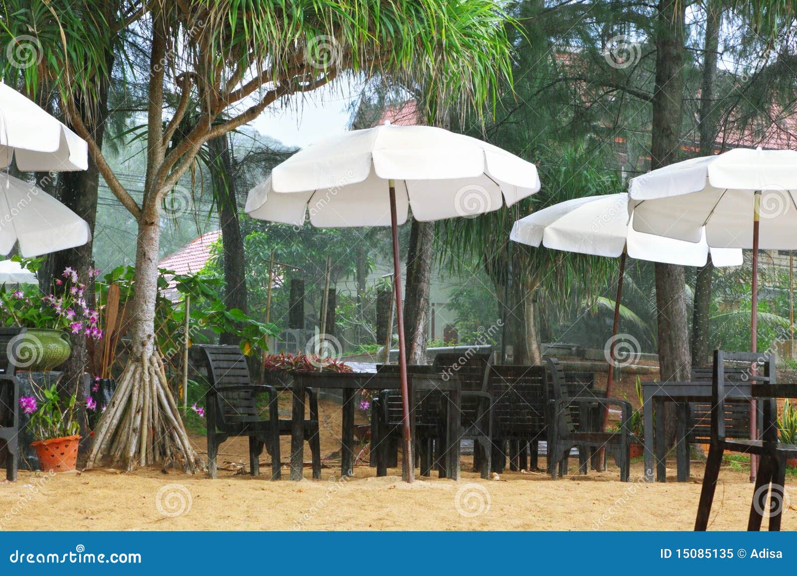 Beach cafe stock image. Image of interior, pacific, outside - 15085135