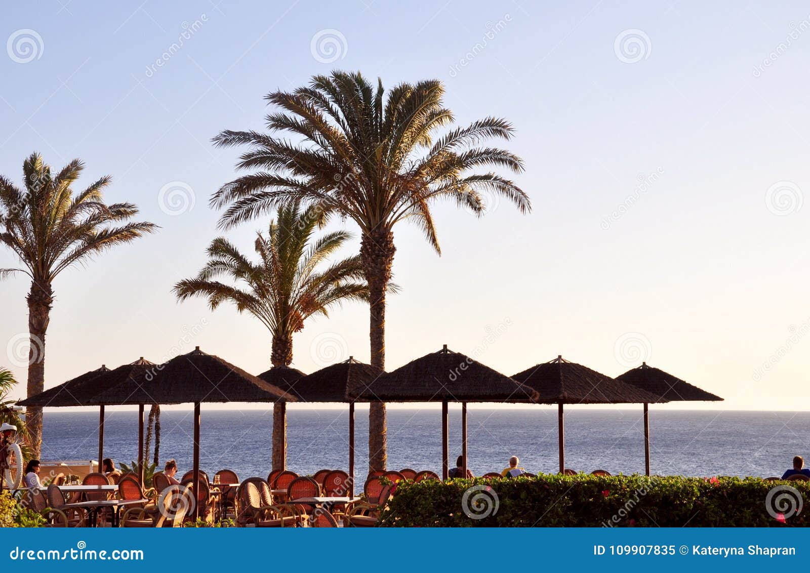 Beach Cafe in a Sunset Light Editorial Image - Image of sunset, trees ...