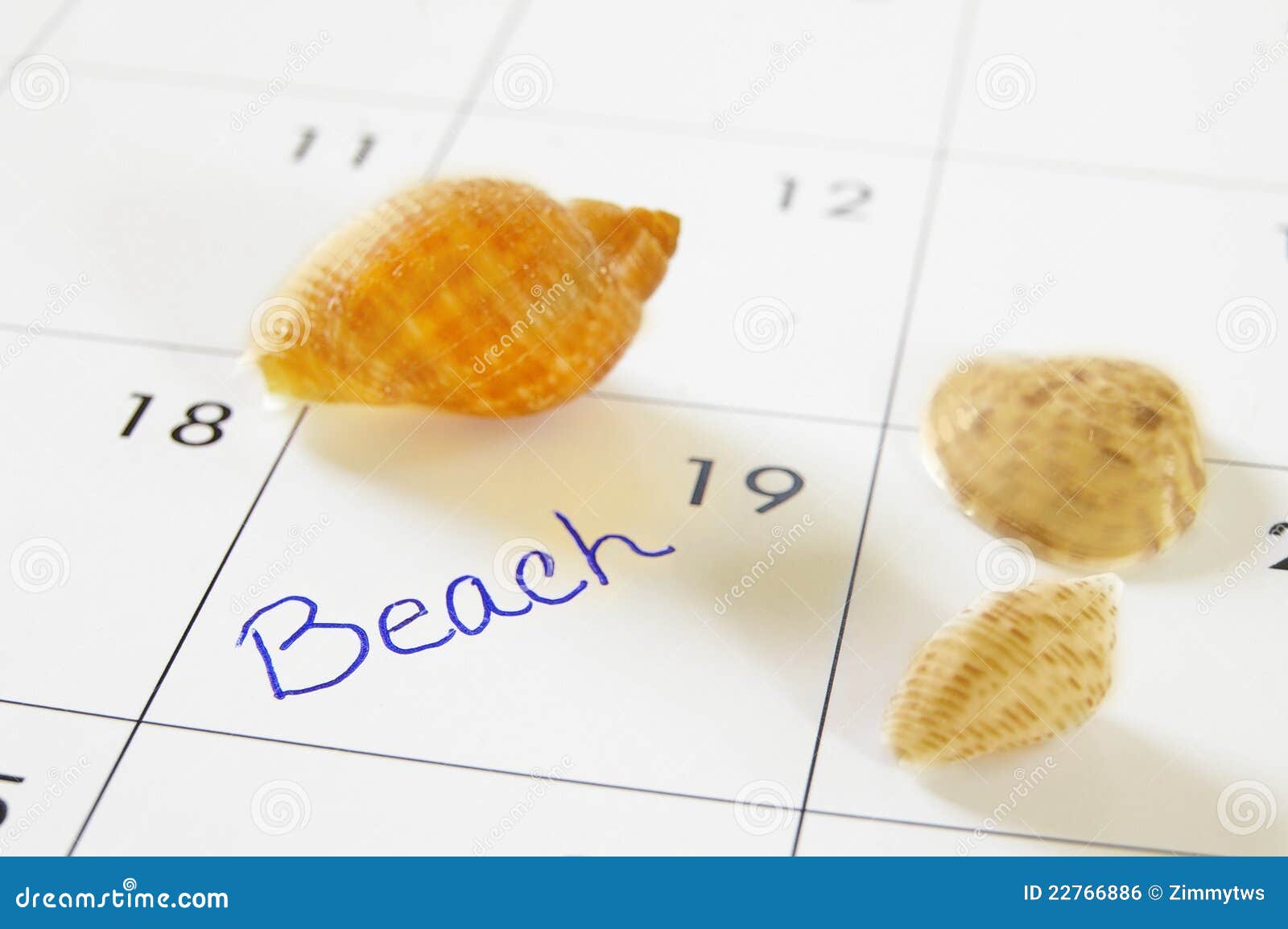 Beach calendar stock photo. Image of date, shell, vacation - 22766886