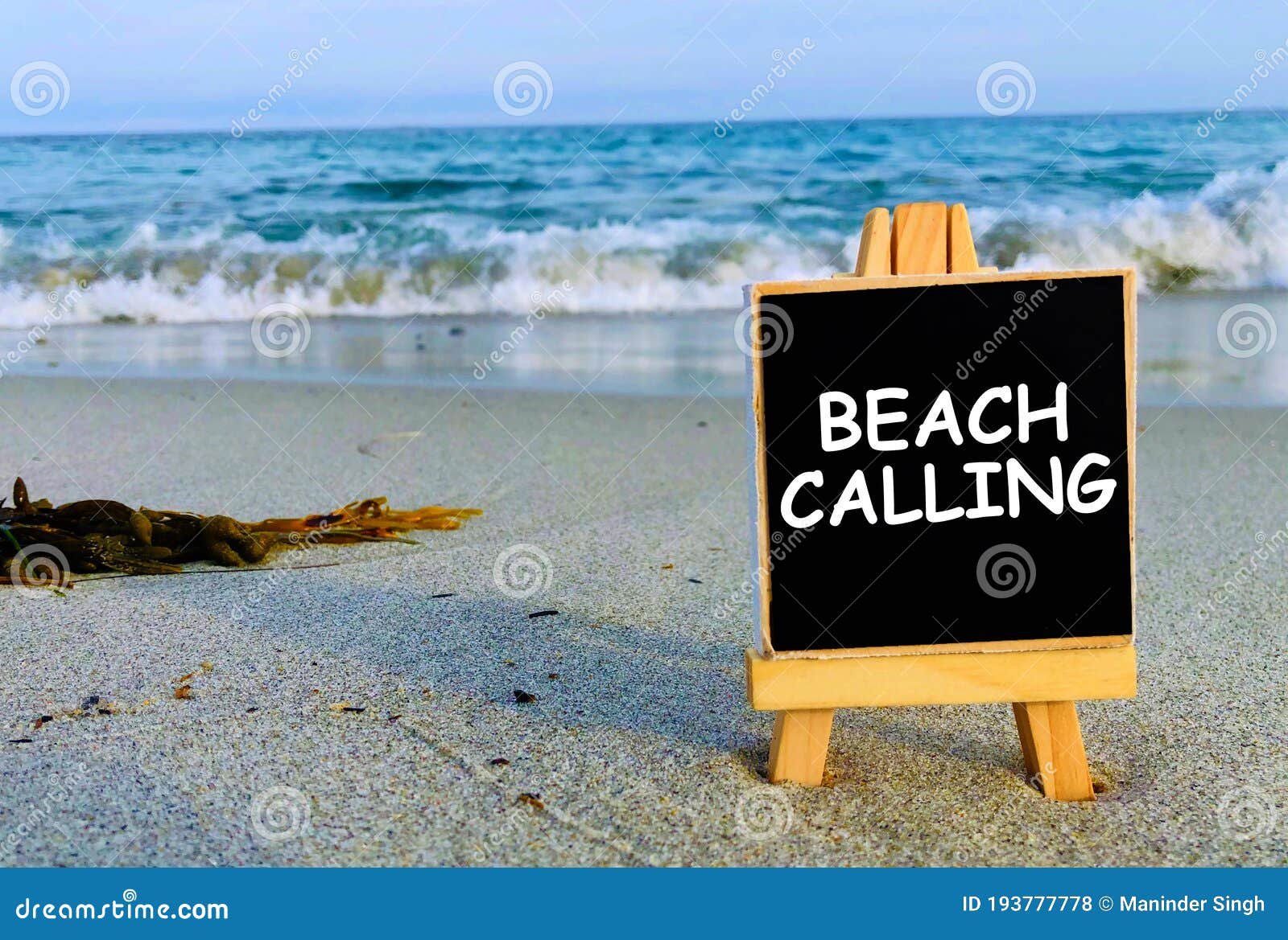Beach calling. stock photo. Image of water, background - 193777778