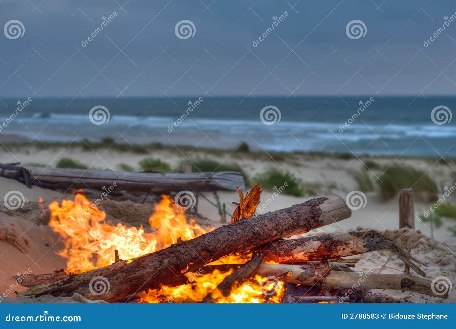 Beach campfire stock image. Image of heat, broiling, flame - 2788583