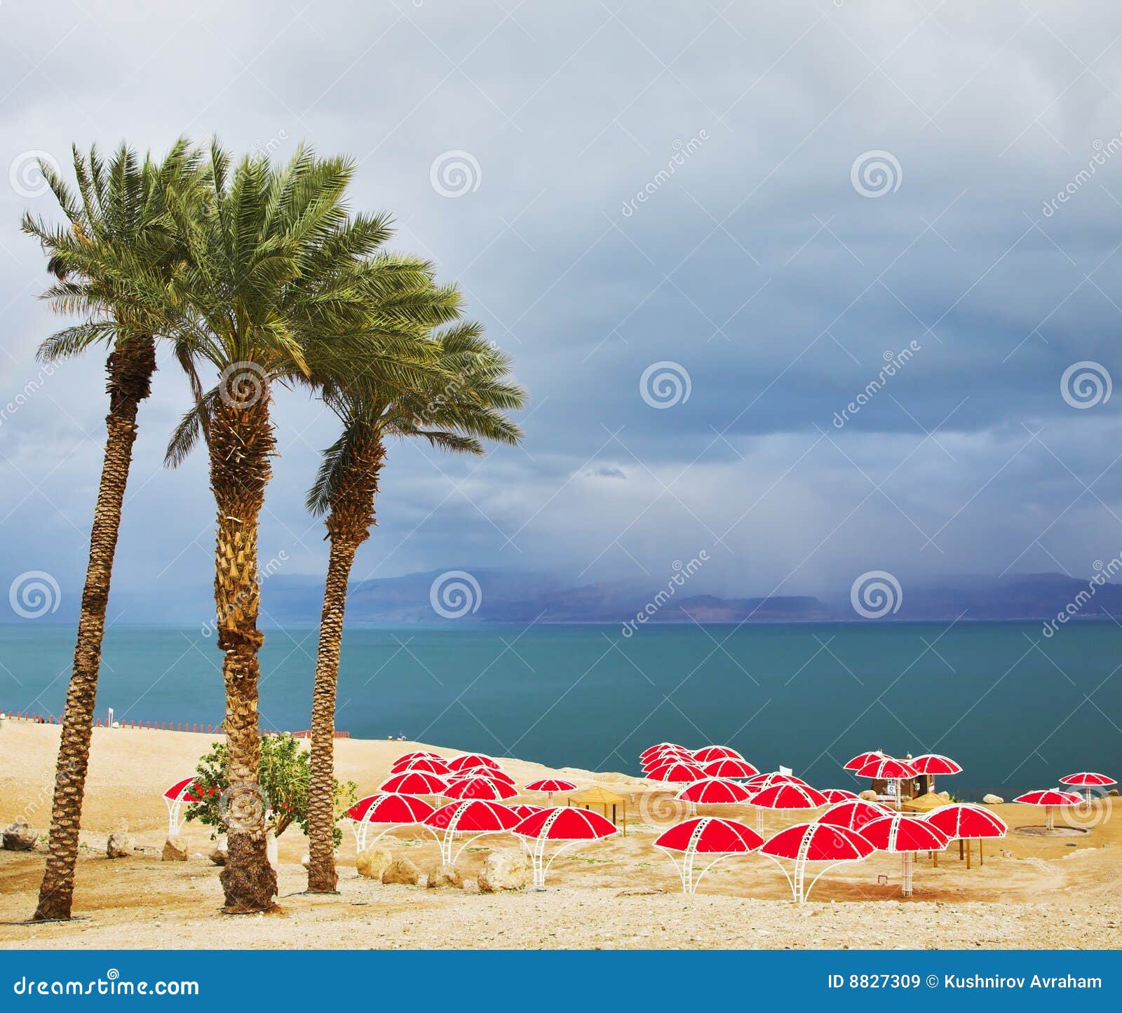 The Beach Canopies on a Beach Stock Image - Image of nature ...