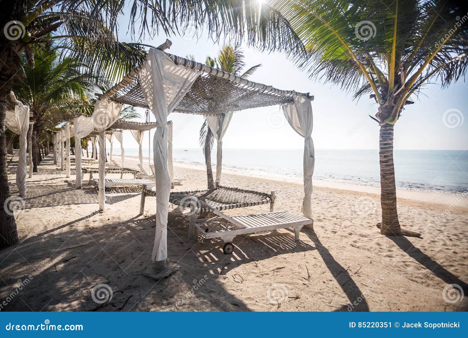 Beach Canopy among Palms by Indian Ocean Stock Image - Image of nature ...