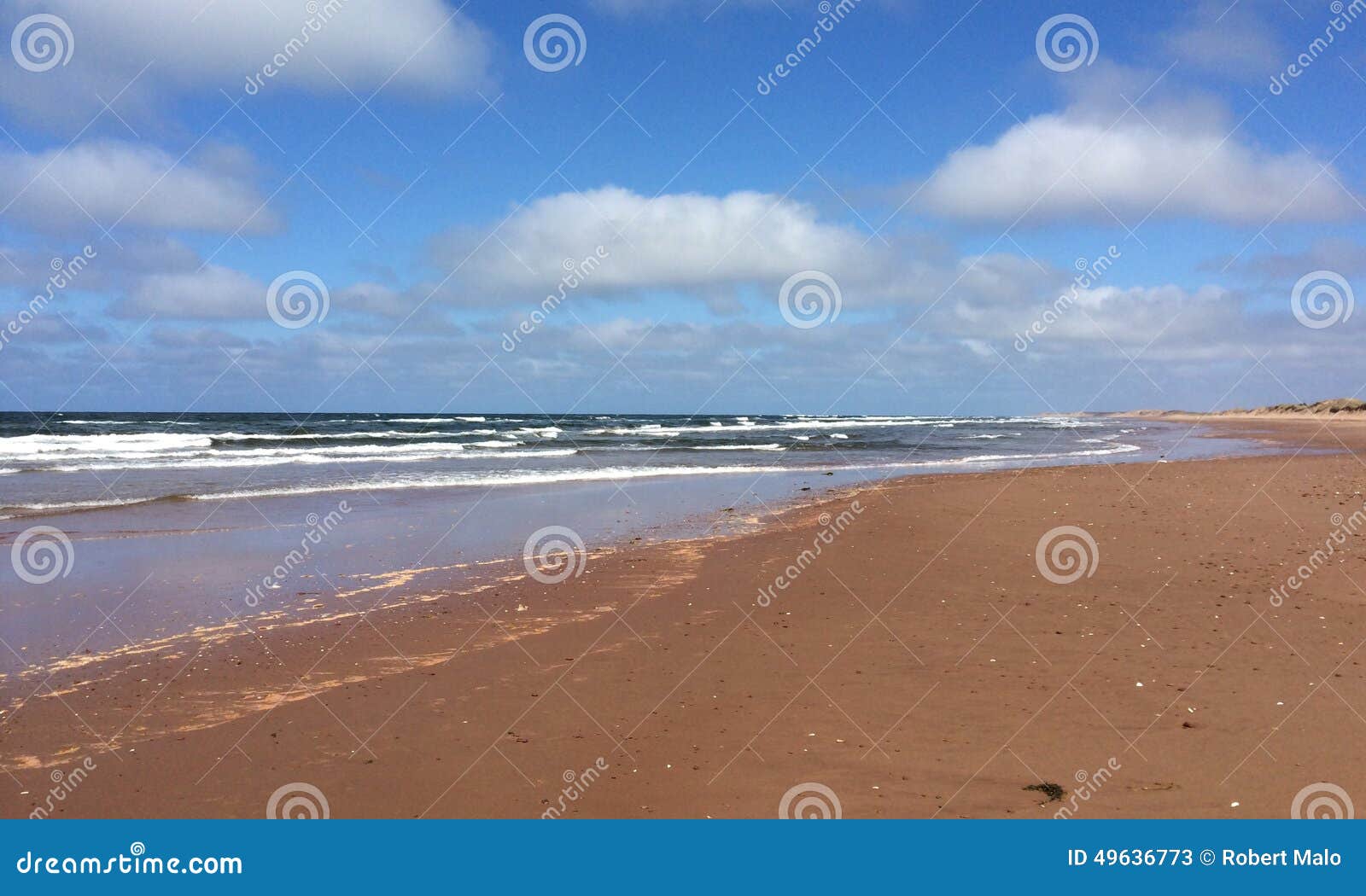 Beach at Cap Cod stock image. Image of water, beach, bleu - 49636773