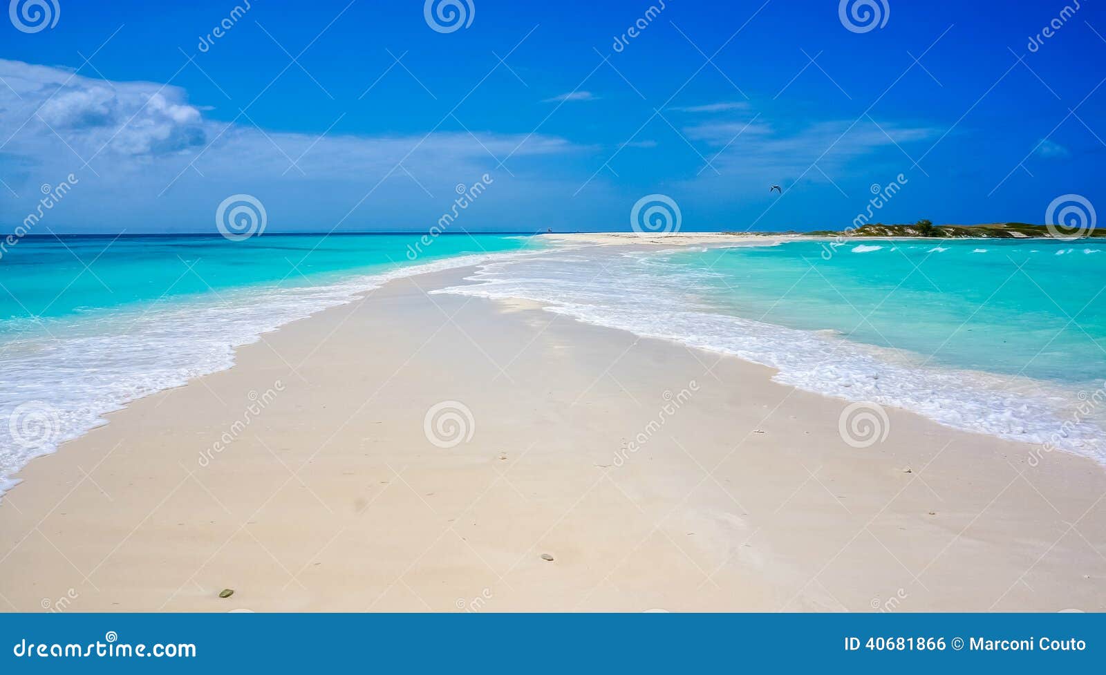 Beach in Caribbean with a Sand Pathway Stock Photo - Image of scenic ...