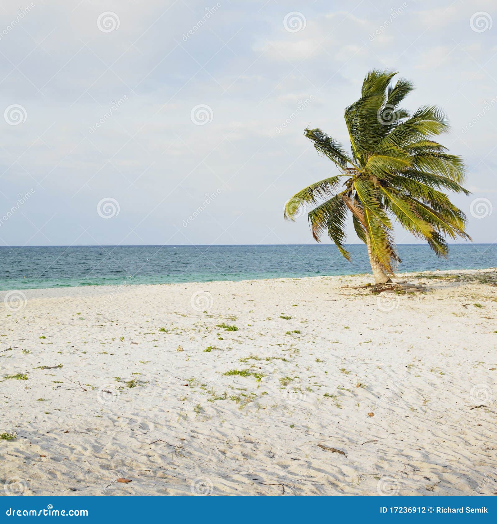 Beach of Cayo Sabinal stock photo. Image of atlantic - 17236912