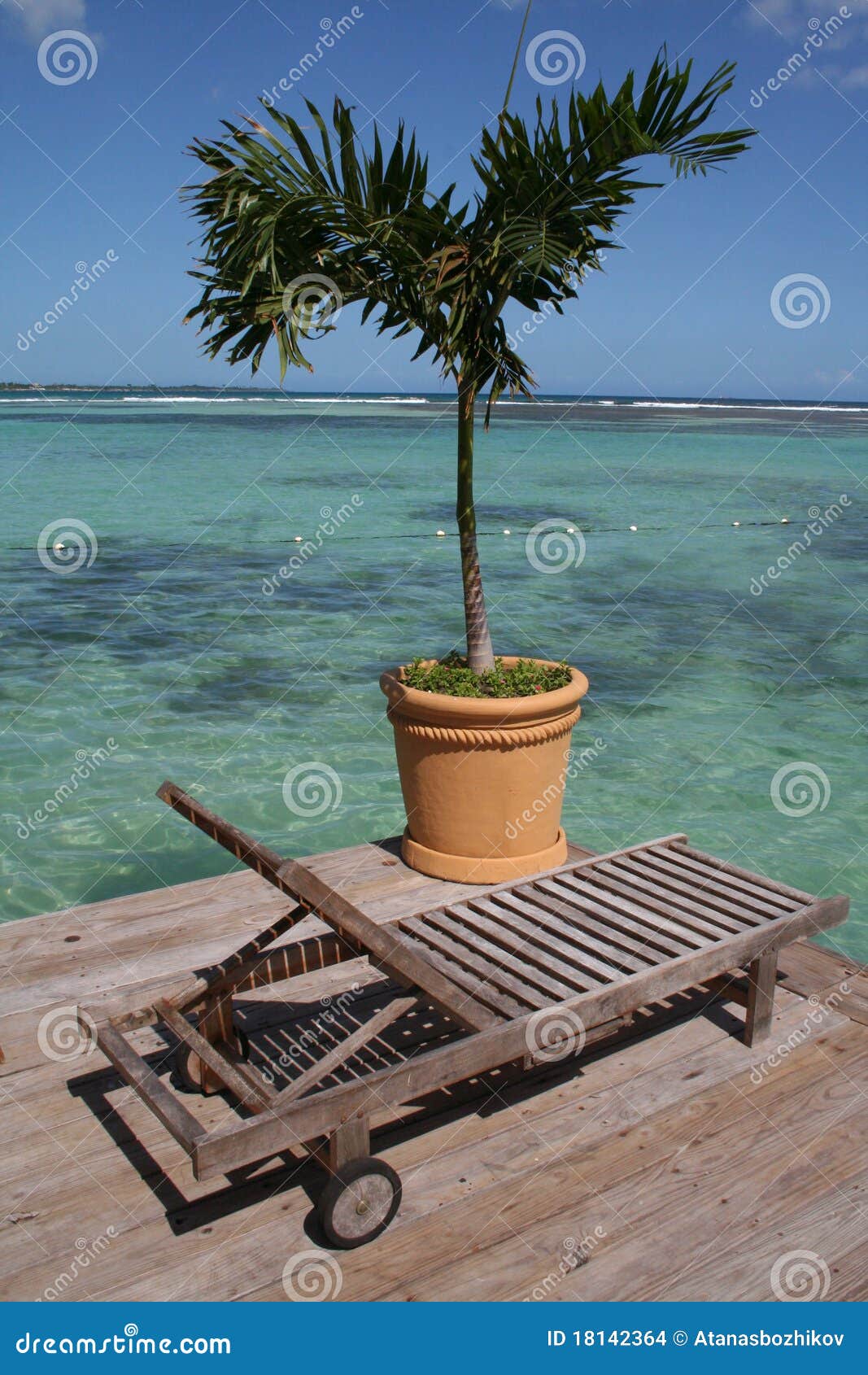 Beach Chair Under a Palm Tree Stock Photo - Image of ocean, couple ...