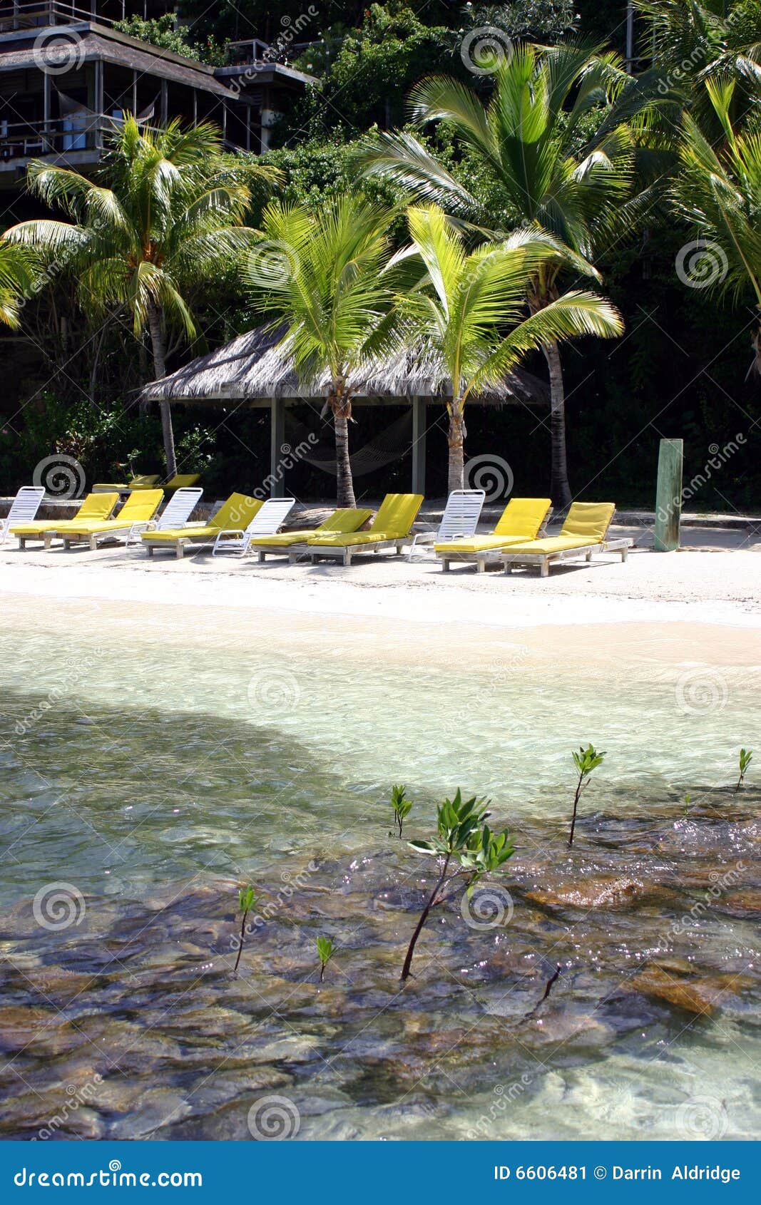 Beach Chairs stock image. Image of tropical, resort, british - 6606481