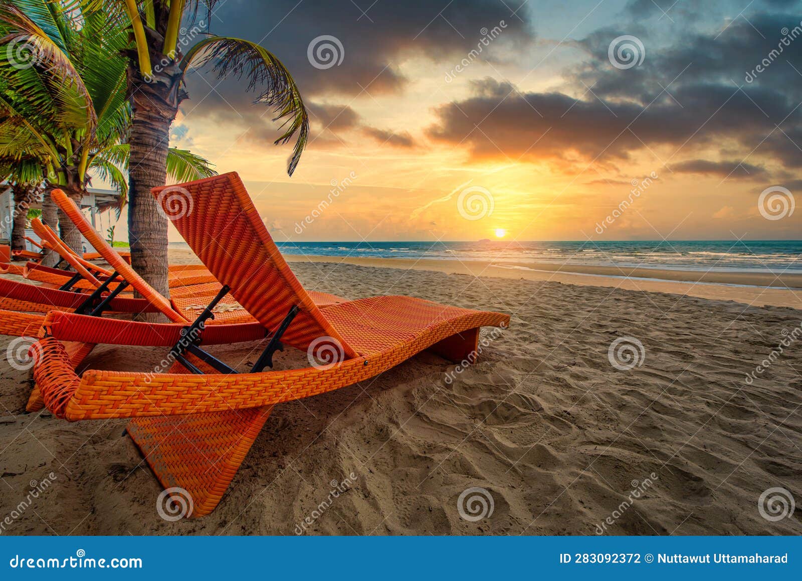 Coconuts On The Beach Chair Rental at Amy Heyer blog