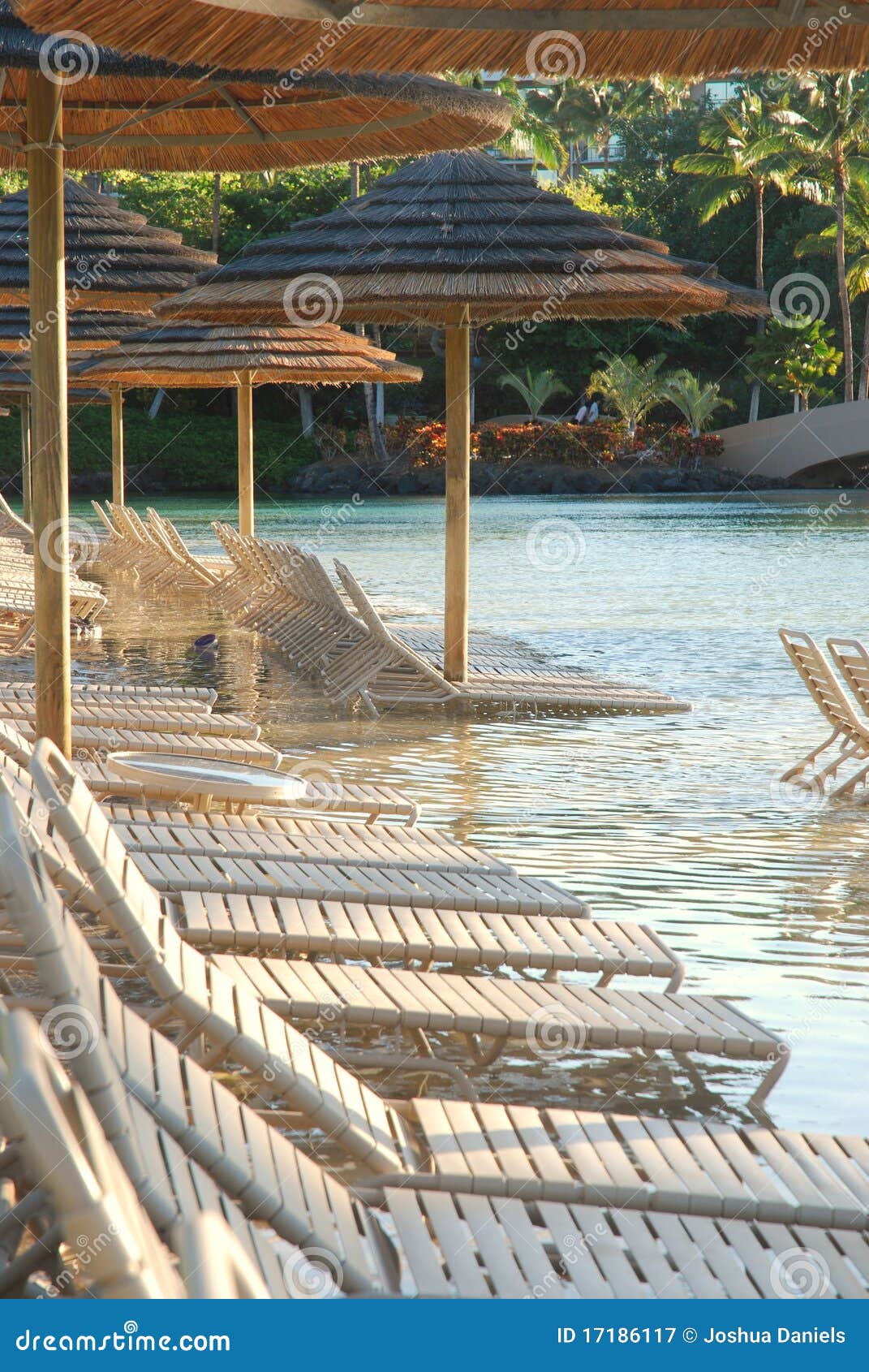 Beach Chairs Ready for Tanning and Relaxation Stock Image - Image of ...