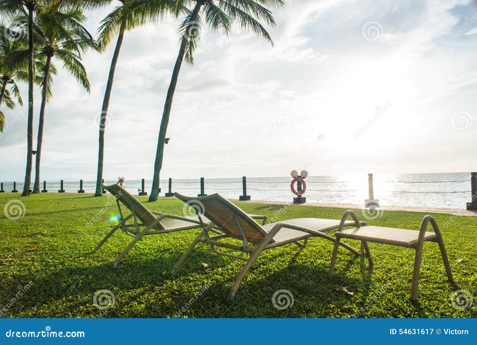 Beach Chairs Under the Palm Tree Viewing the Sunset Stock Image - Image ...