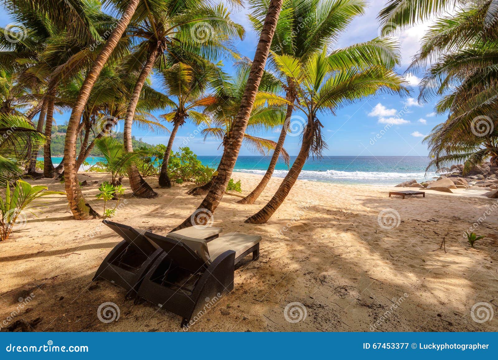 Beach Chairs Under Palm Trees on Beautiful Beach at Seychelles Stock ...