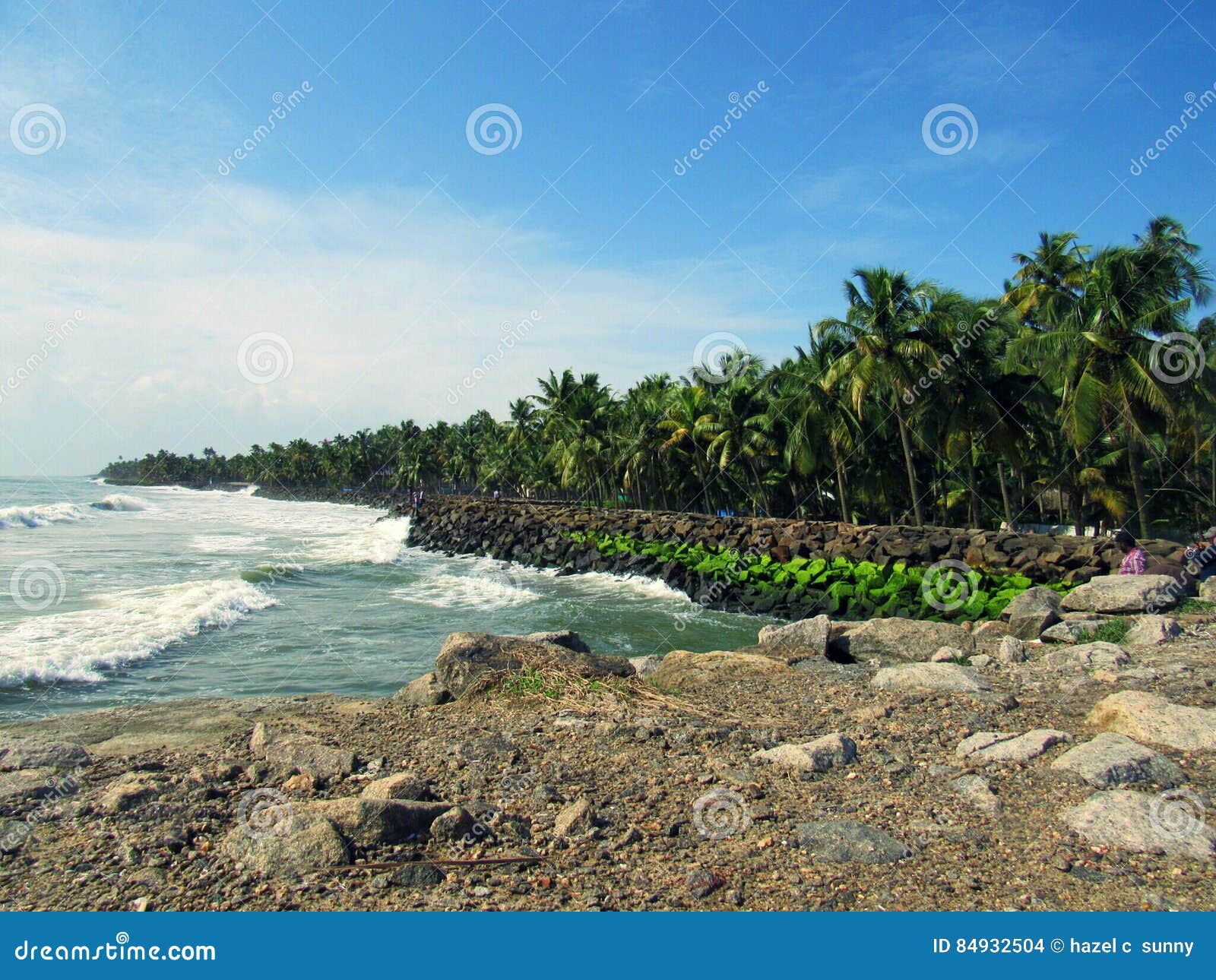 Chellanam Stock Photos - Free & Royalty-Free Stock Photos from Dreamstime