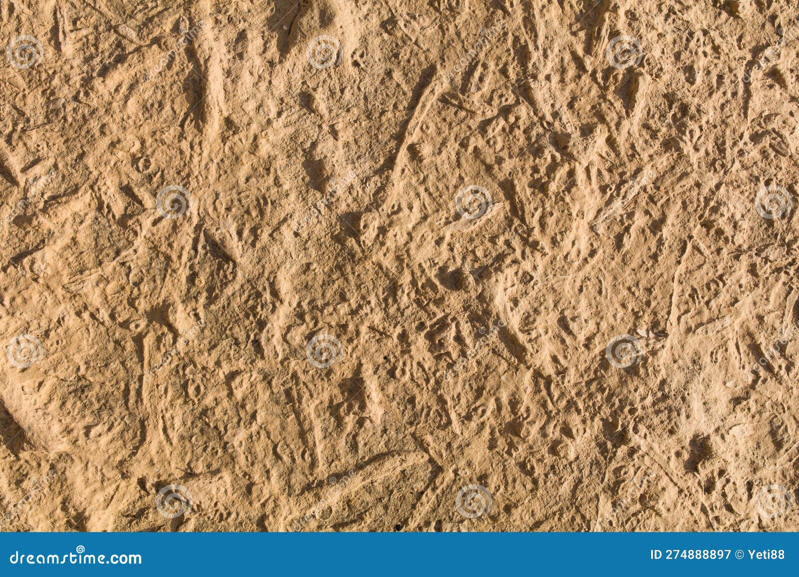 Beach clay rock stock image. Image of sand, island, tree - 274888897