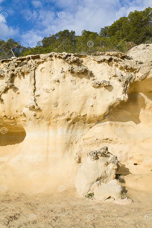 Beach clay rock stock photo. Image of tree, spain, mallorca - 274888914