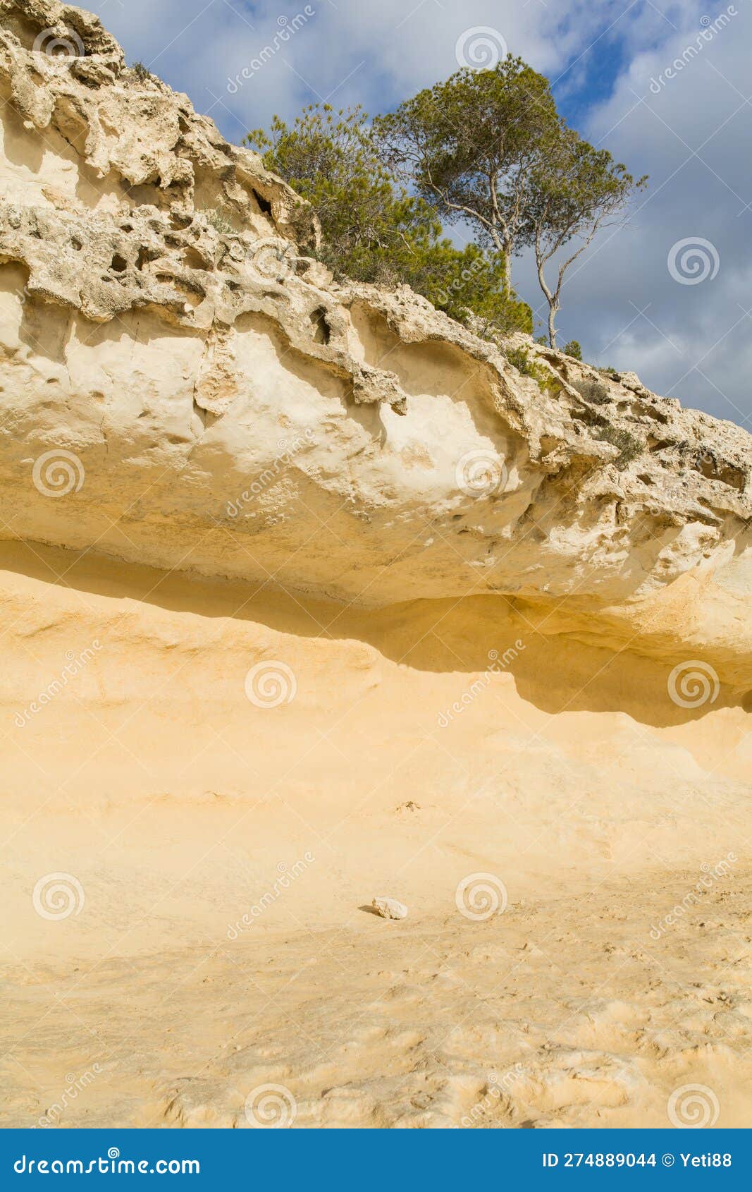 Beach clay rock stock photo. Image of tree, sand, clay - 274889044