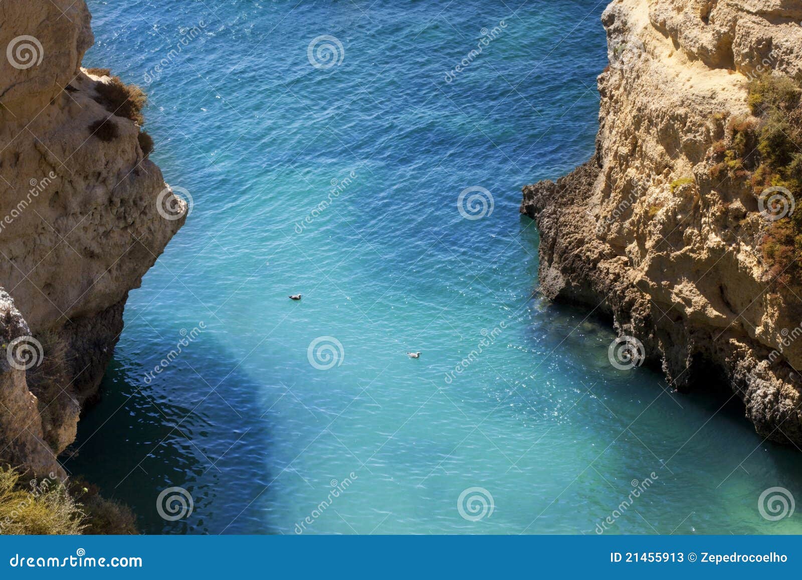 Beach cliff stock image. Image of countries, coastline - 21455913