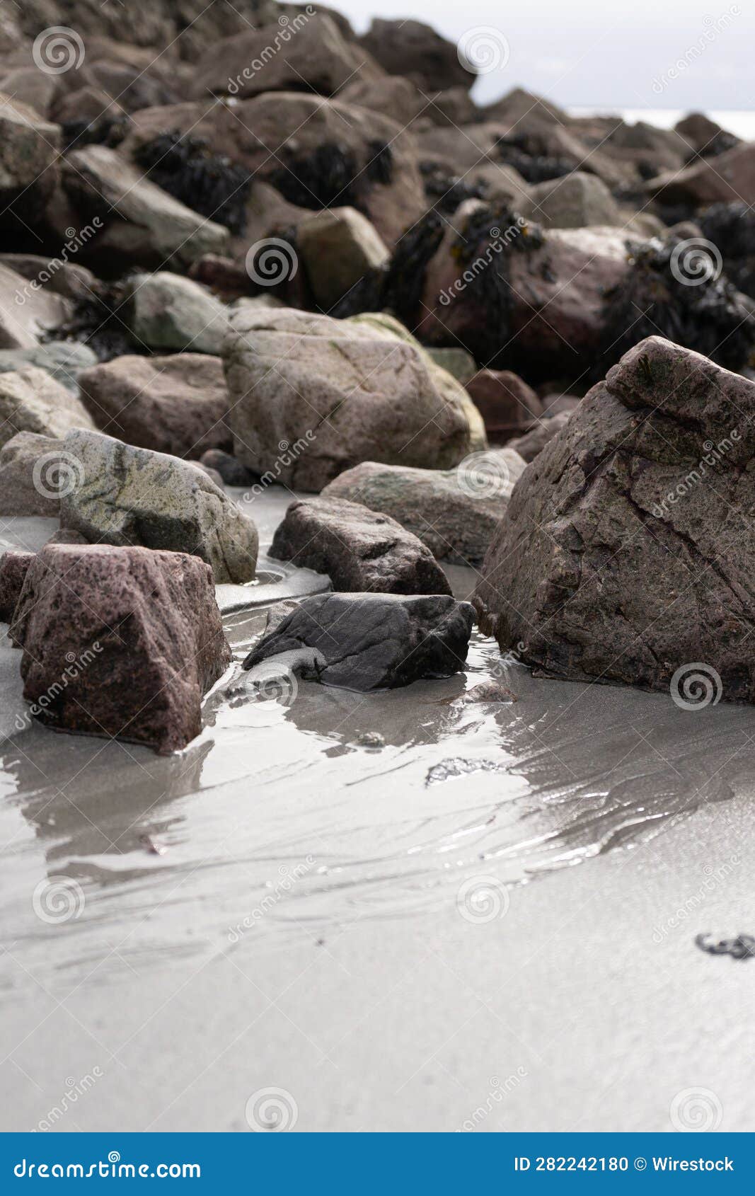 Beach with a Cluster of Rocks on the Wet Sand. Stock Photo - Image of ...