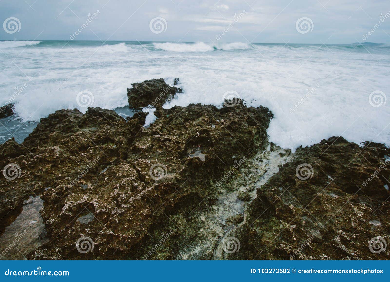 Beach, Coast, Daylight, Island Picture. Image: 103273682