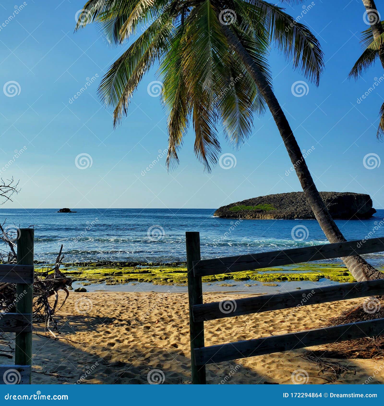 Beach Coast in Puerto Rico stock photo. Image of puerto - 172294864