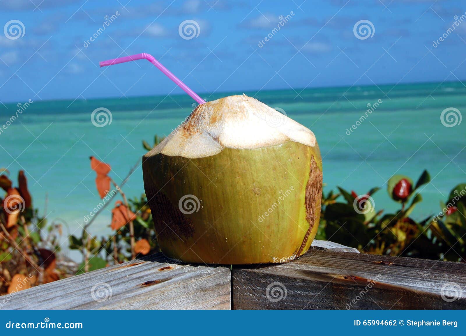 Beach Coconut Cocktail stock photo. Image of beachfront - 65994662
