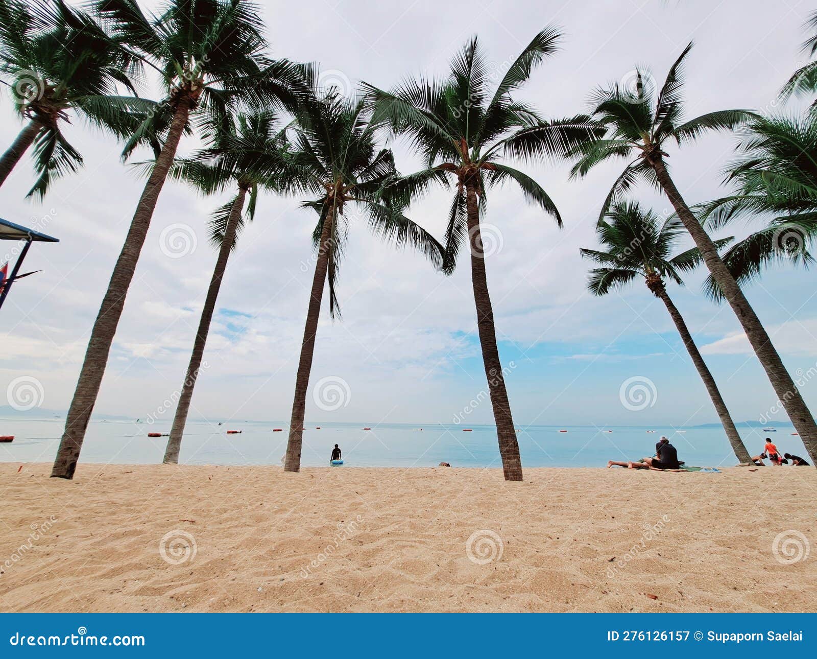 Beach, coconut tree , sea. stock image. Image of water - 276126157