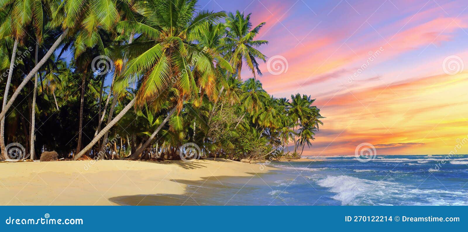 Beach with Coconut Tree at Sunset Stock Photo - Image of heaven, sunset ...