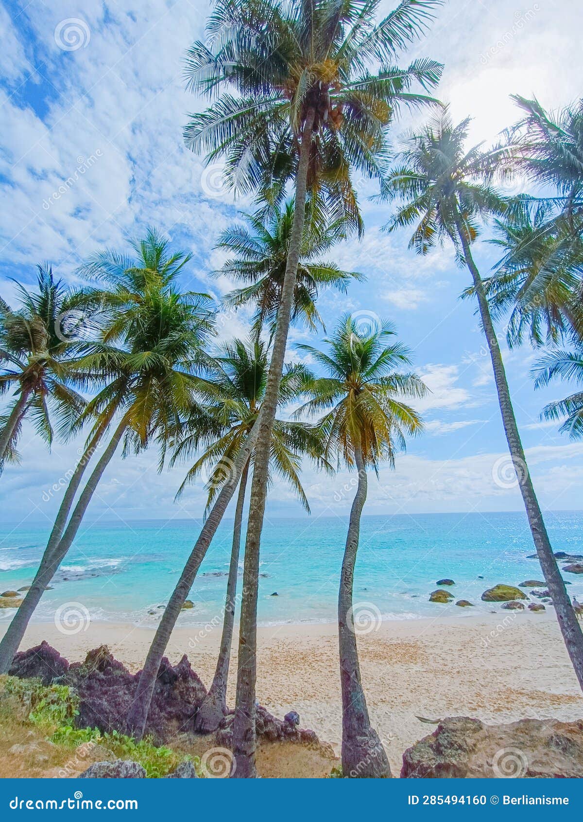 Beach with Coconut Trees and Rocks Stock Photo - Image of trees, beach ...