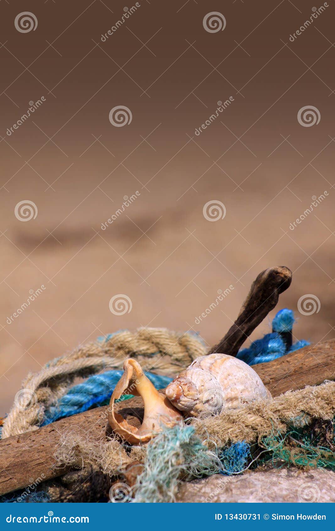 Beach Combing stock image. Image of holiday, jetsom, debris - 13430731