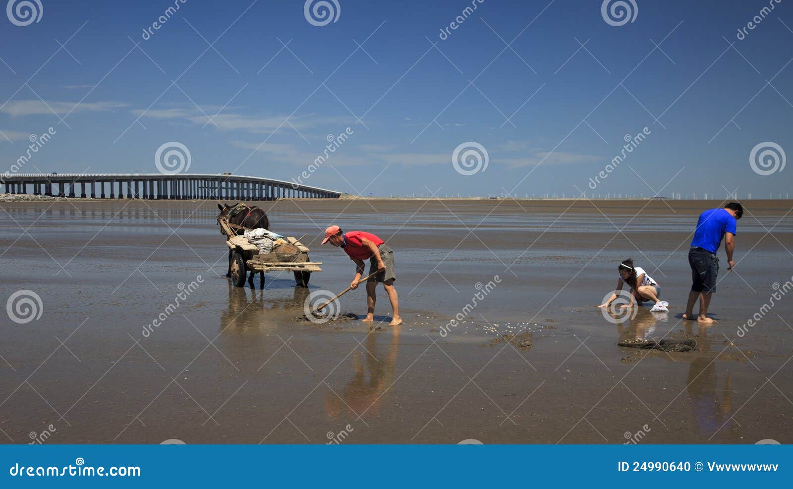 Beach combing editorial image. Image of combing, collecting - 24990640