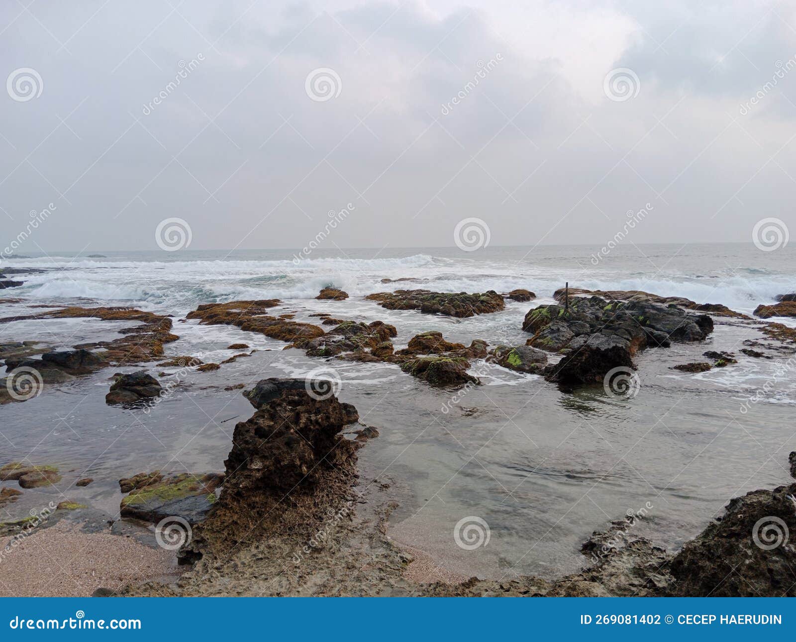 Beach, Coral, Beautiful Sea, Natural Setting, White Sand Stock Photo ...