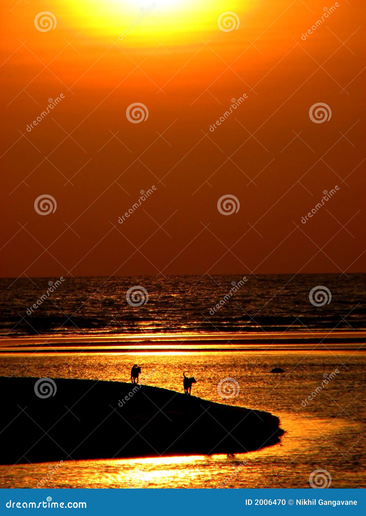 Beach Corner stock photo. Image of exploration, color - 2006470