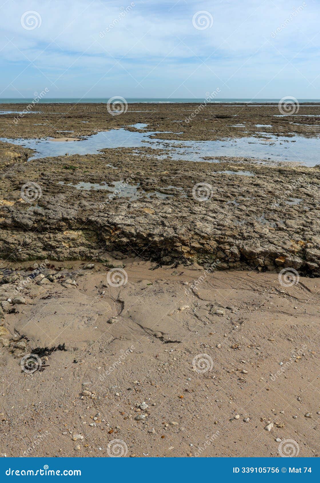 Beach in the country stock photo. Image of nature, panoramic - 339105756