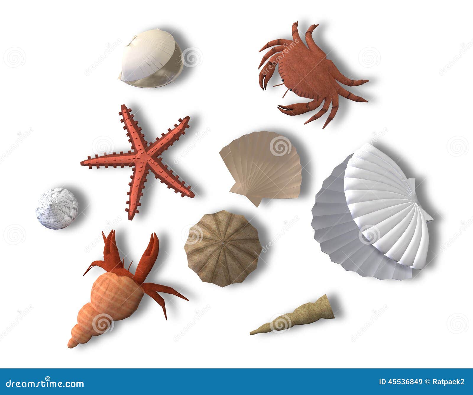 Beach Creatures stock image. Image of coastline, ocean - 45536849