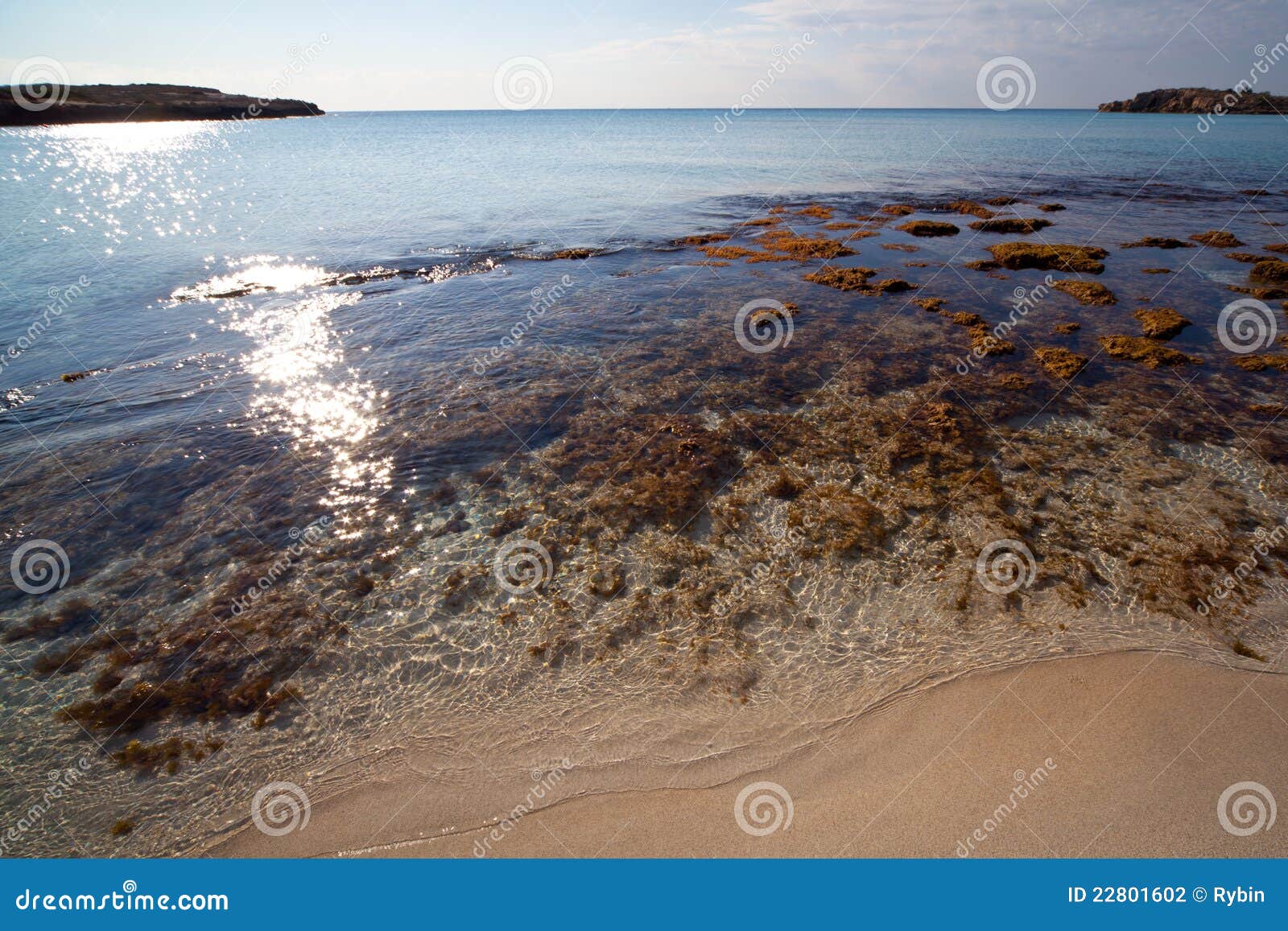 Beach with Crystal Clear Water. Stock Photo - Image of summer, beach ...