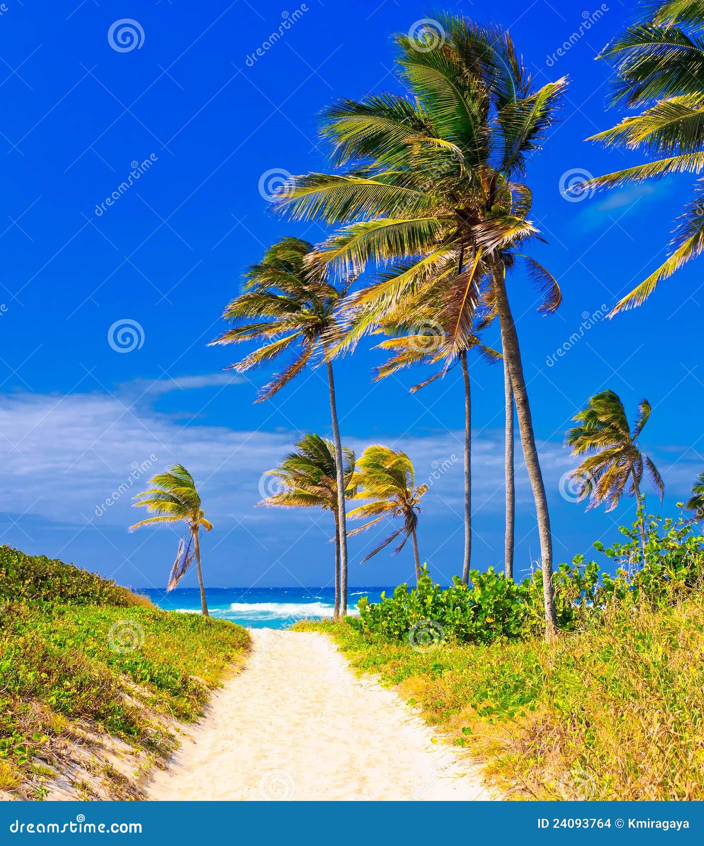 The Beach in Cuba on a Beautiful Summer Day Stock Photo - Image of ...