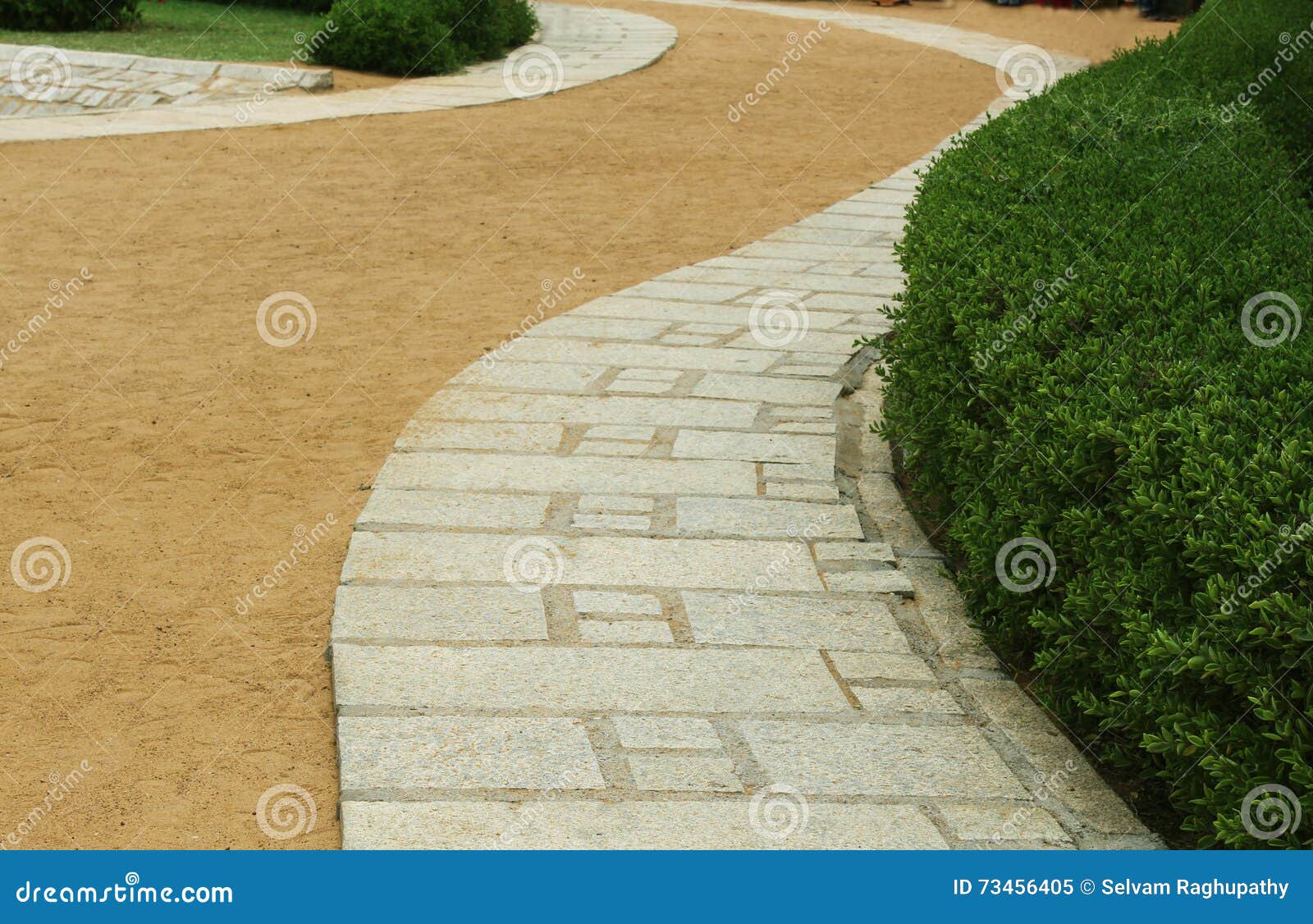 Beach curve stone path stock image. Image of flora, green - 73456405