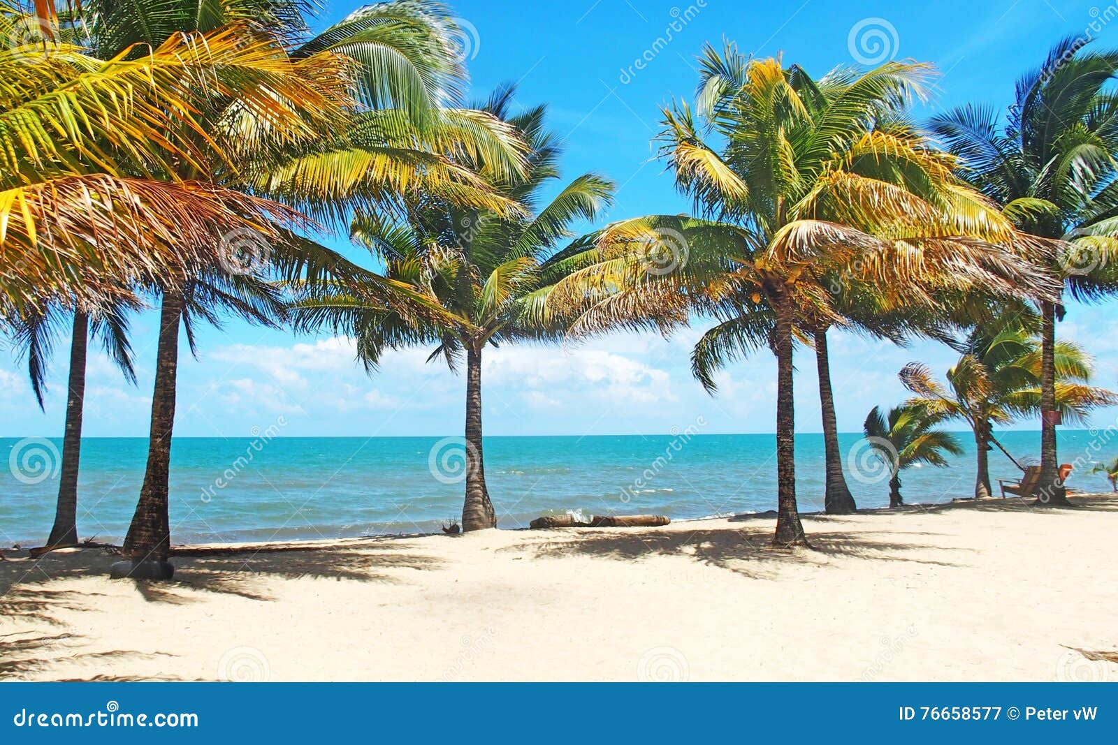 That Beach in Dangriga, Belize Stock Image - Image of vacations, sand ...