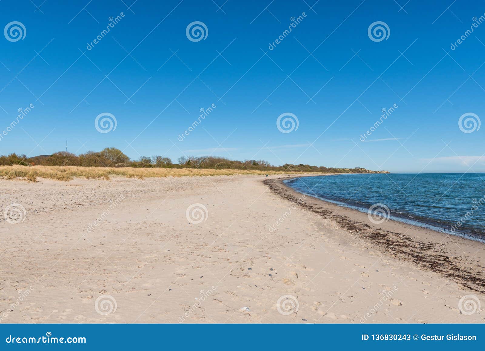 Beach on the Danish Countryside Stock Image - Image of coastline, beach ...
