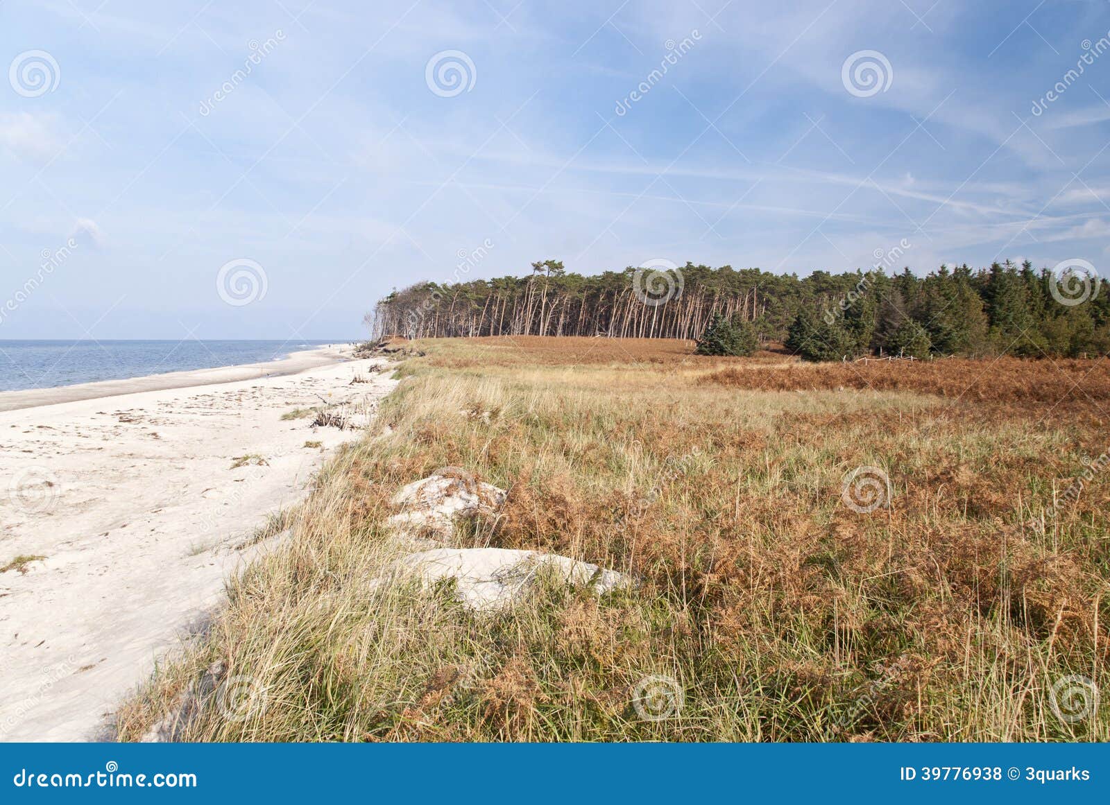 Beach of Darss - Weststrand Stock Photo - Image of naturesanctuary ...
