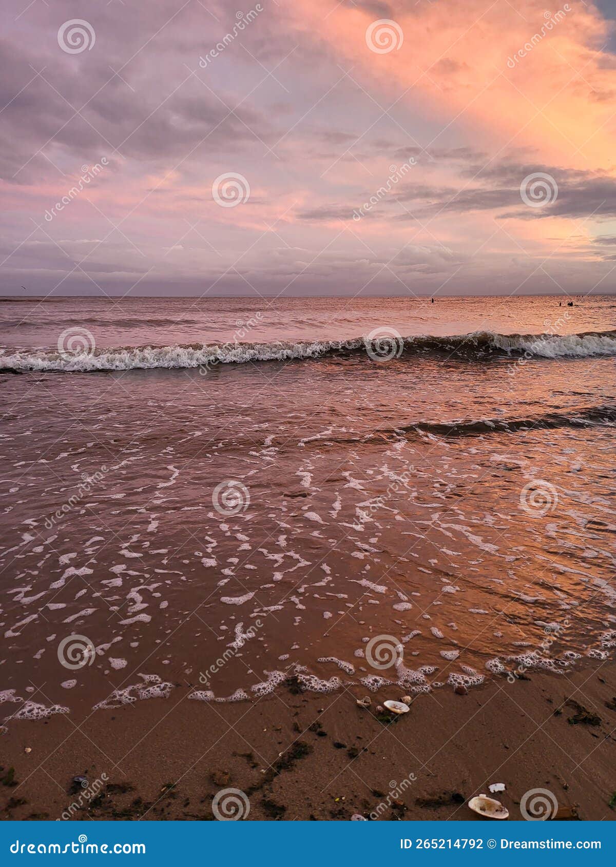 Beach Dawn Ocean Waves Tide Stock Photo - Image of waves, dawn: 265214792